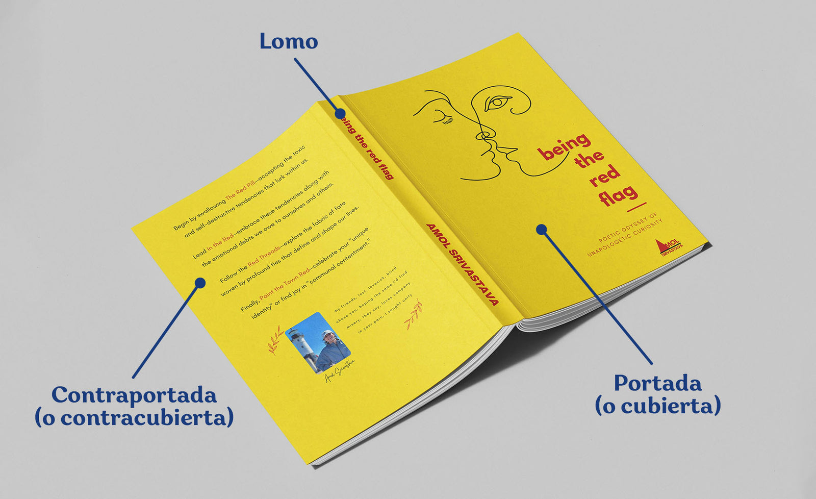 Partes de un Libro: Identifica y Conoce cada Elemento